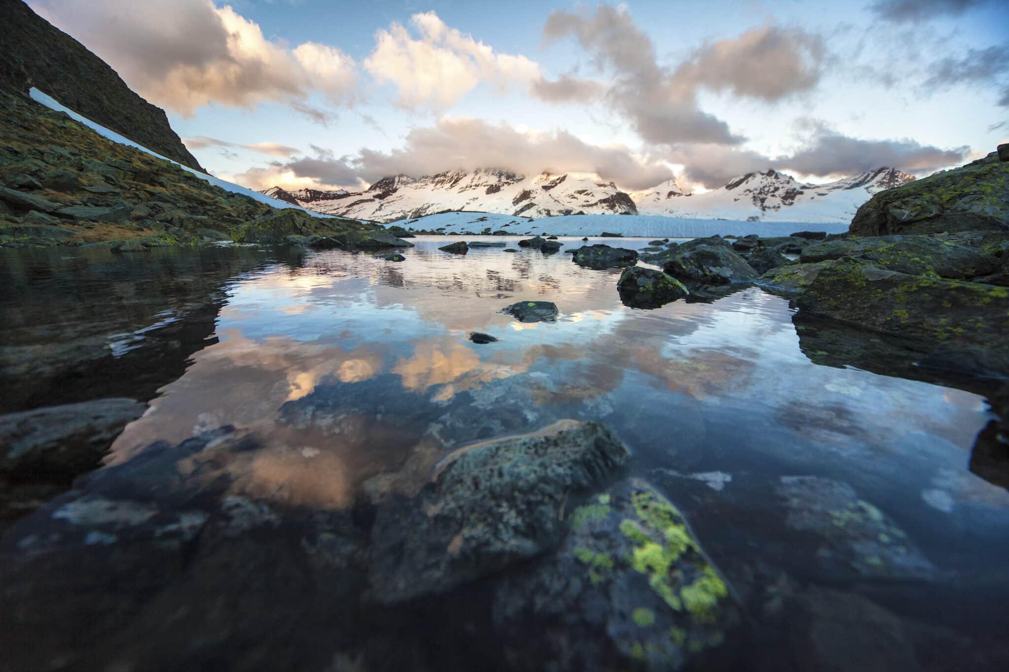 Sustainable Cooling Solutions | Phononic